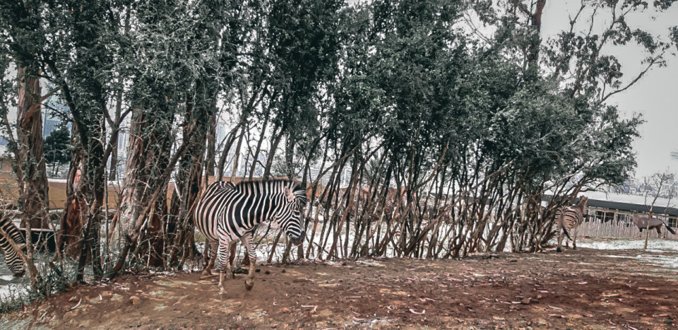 UNITY PARK: HALF DAY TOUR CITY TOUR | Zulla Parks