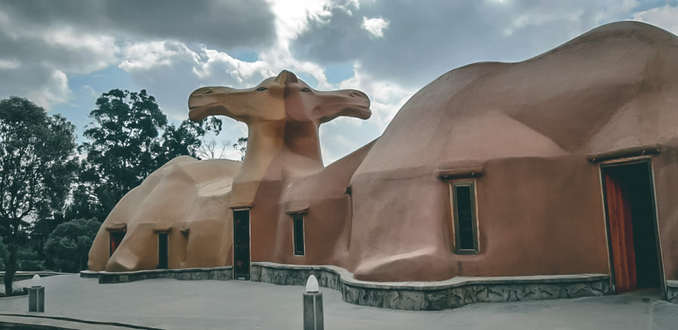 UNITY PARK: HALF DAY TOUR CITY TOUR | Zulla Parks