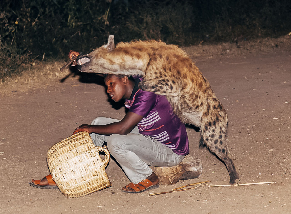 HARAR HISTORIC SITE & DIRE DAWA | Zulla Parks