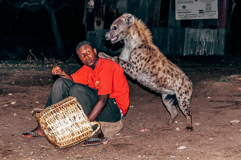 HARAR HISTORIC SITE & DIRE DAWA | Zulla Parks