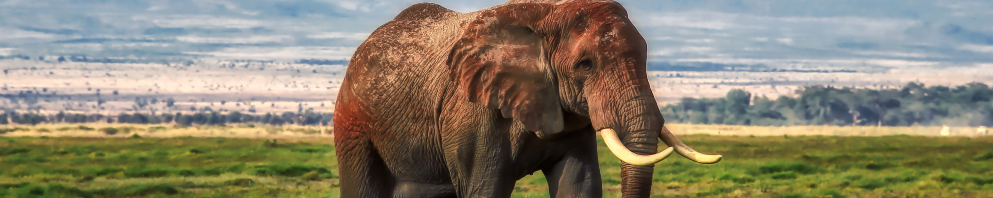 Discover Africa with our unique packages. | Zulla Parks