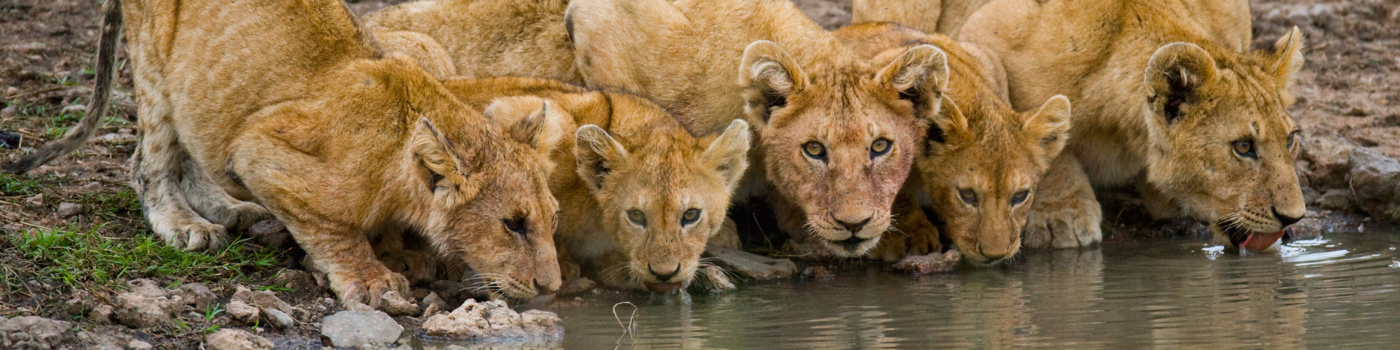 Travel Planner | Zulla Parks