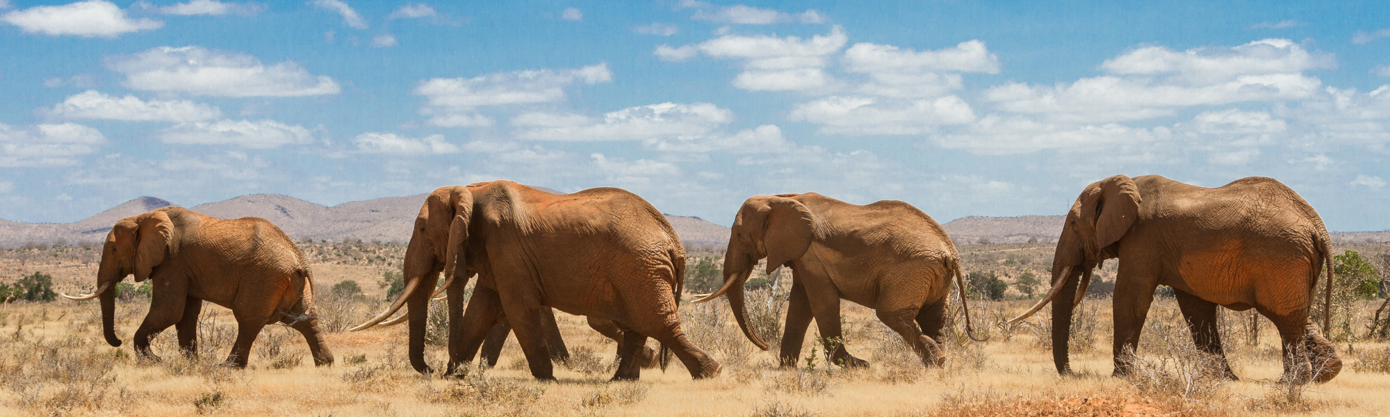 Discover Africa with our unique accommodation properies | Zulla Parks